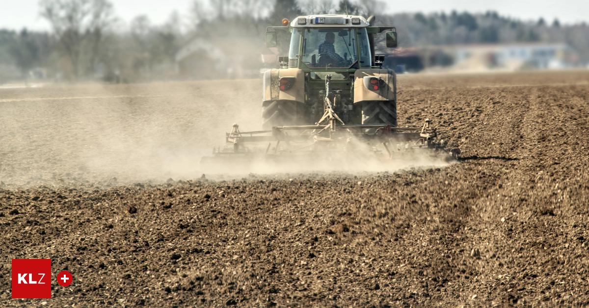 Warten auf den Regen: Trockener Winter und ausbleibender Regen bereiten Landwirten Kopfzerbrechen